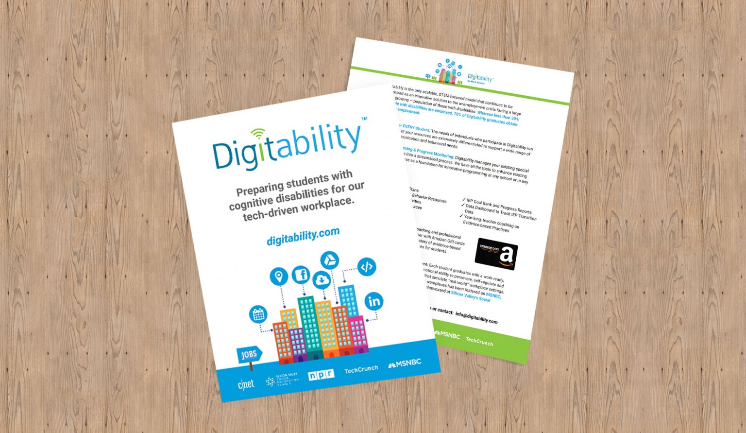 Digitability Free Resource | Program Overview | Digitability